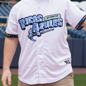 Wilmington Blue Rocks Official Store
