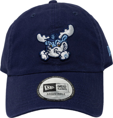 Wilmington Blue Rocks Official Store
