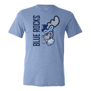 Wilmington Blue Rocks Official Store
